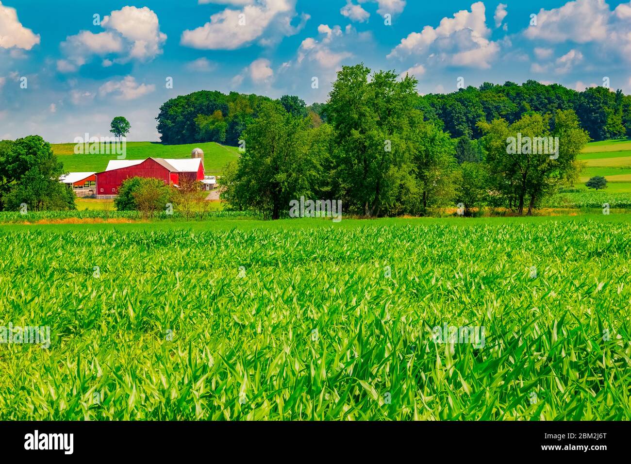 Red barn with corn hi-res stock photography and images - Alamy