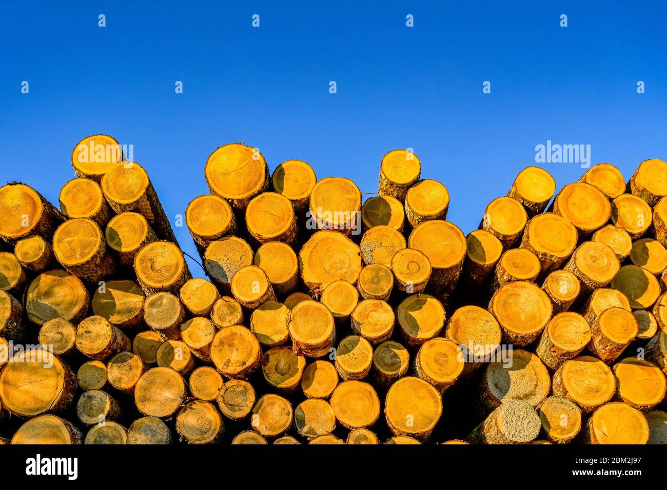 Softwood lumber canada hi-res stock photography and images - Alamy