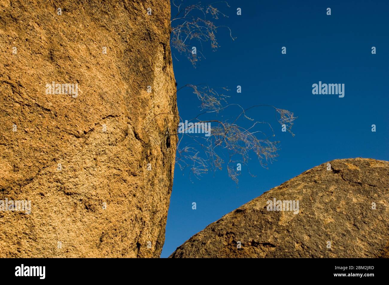 dry country namibia Stock Photo - Alamy