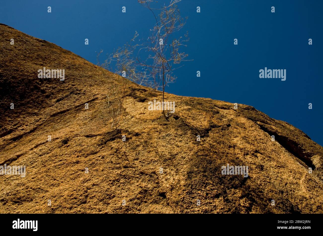 dry country namibia Stock Photo - Alamy