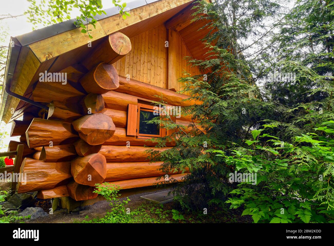 Huge structure wood wooden hi-res stock photography and images - Alamy