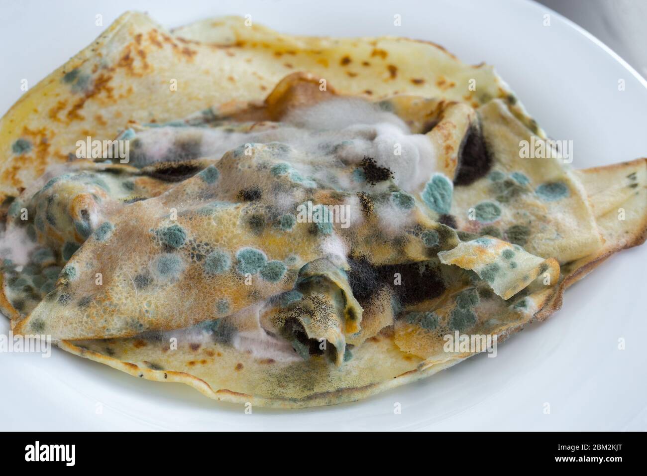 Mold on pancake. Spoiled inedible flour product affected by young ...