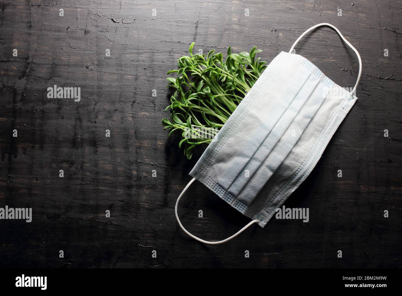 Face mask and Young Plants on Black Background Stock Photo - Alamy