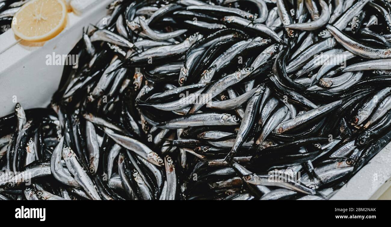 Sprat hi-res stock photography and images - Alamy