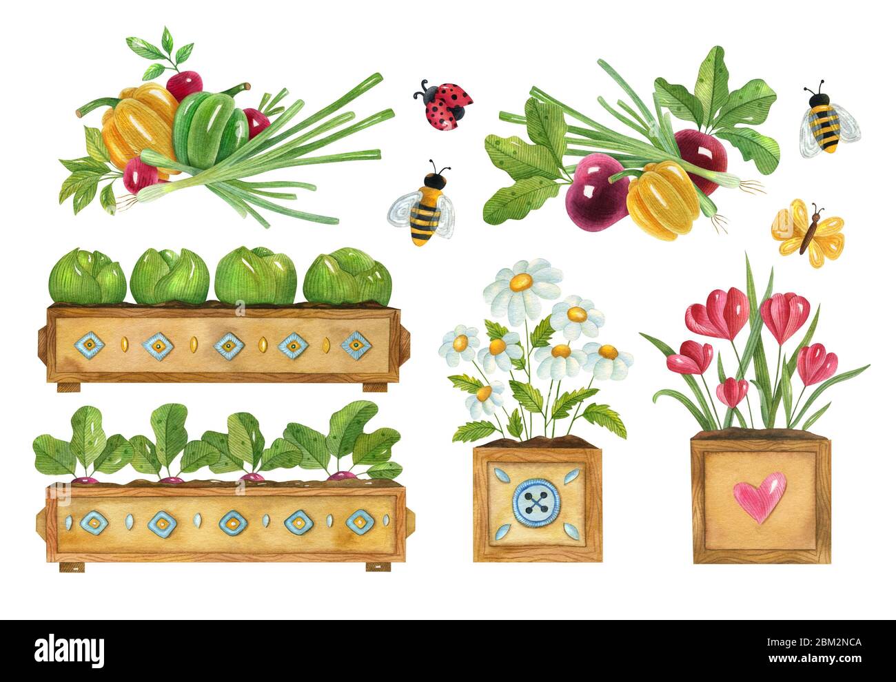 Cabbages artwork hi-res stock photography and images - Alamy