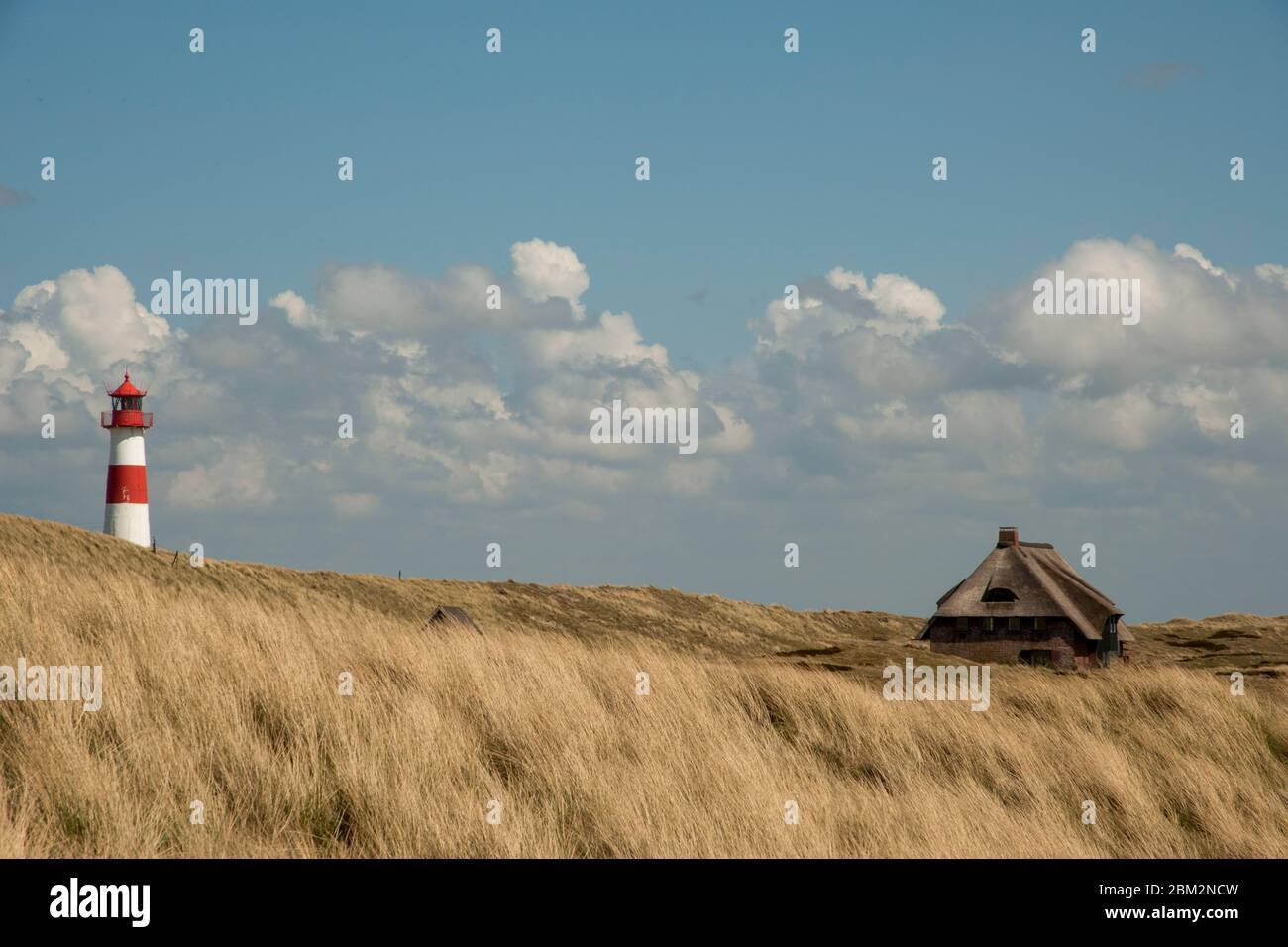 landscape with lighthouse Stock Photo - Alamy