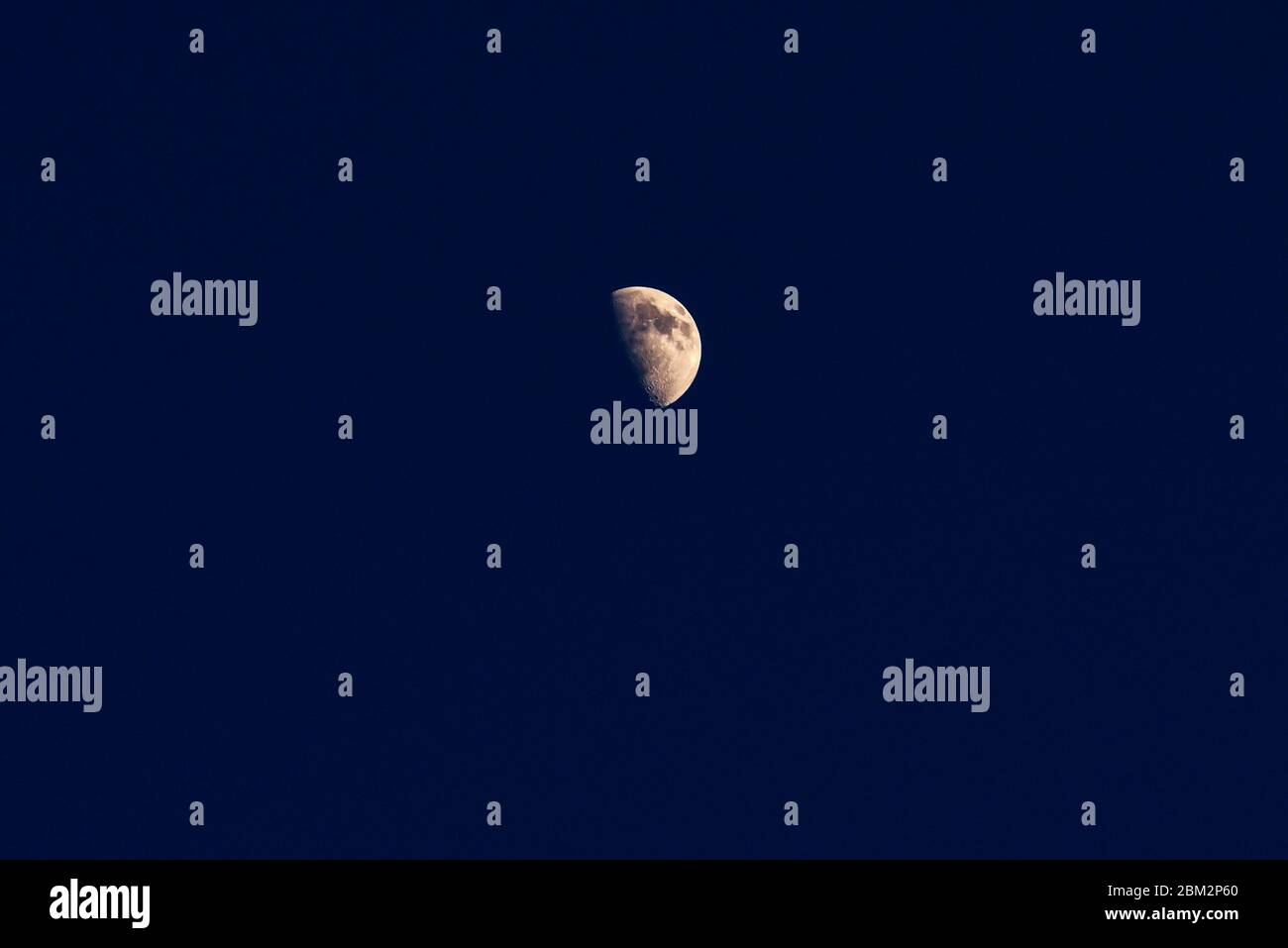 The moon in half moon phase in a deep blue night sky Stock Photo - Alamy