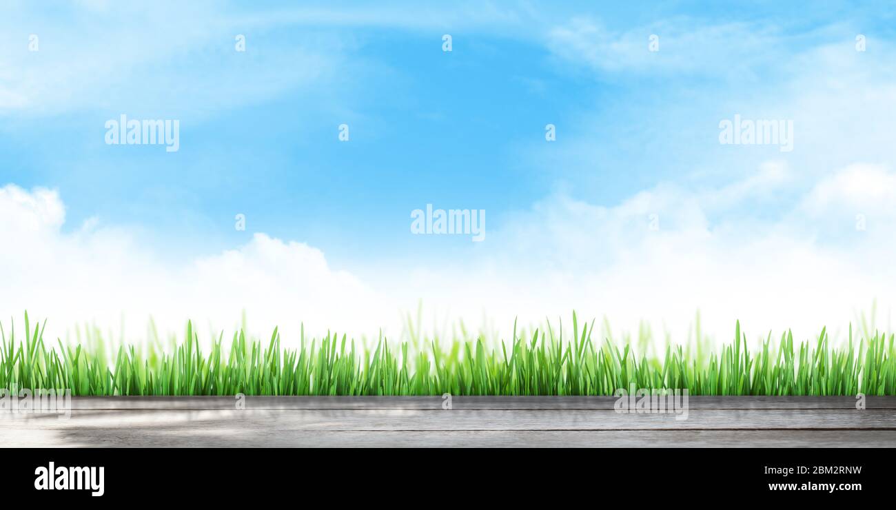 Abstract summer grass field and sunny sky with clouds texture wide ...