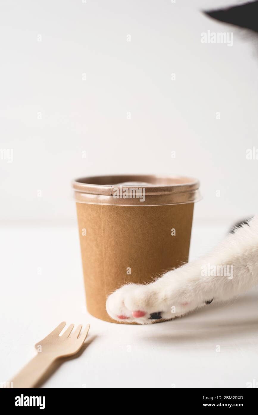 A disposable container and a wooden fork for food delivery Stock Photo ...