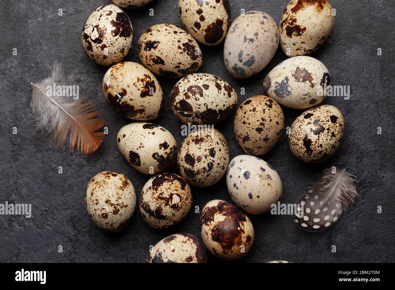 Quail eggs on stone background. Top view closeup. Flat lay Stock Photo ...