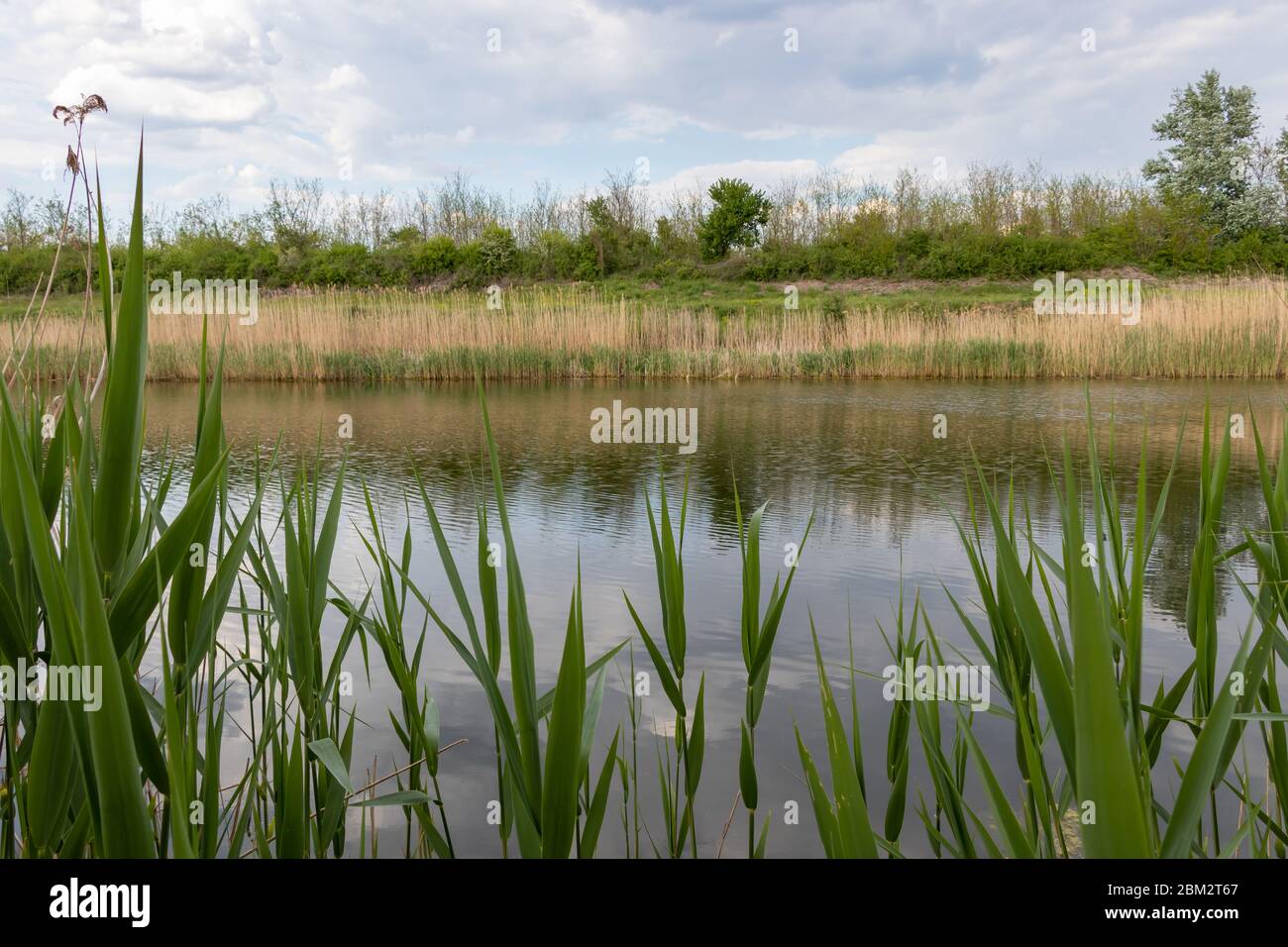 Danube tisa danube hi-res stock photography and images - Alamy