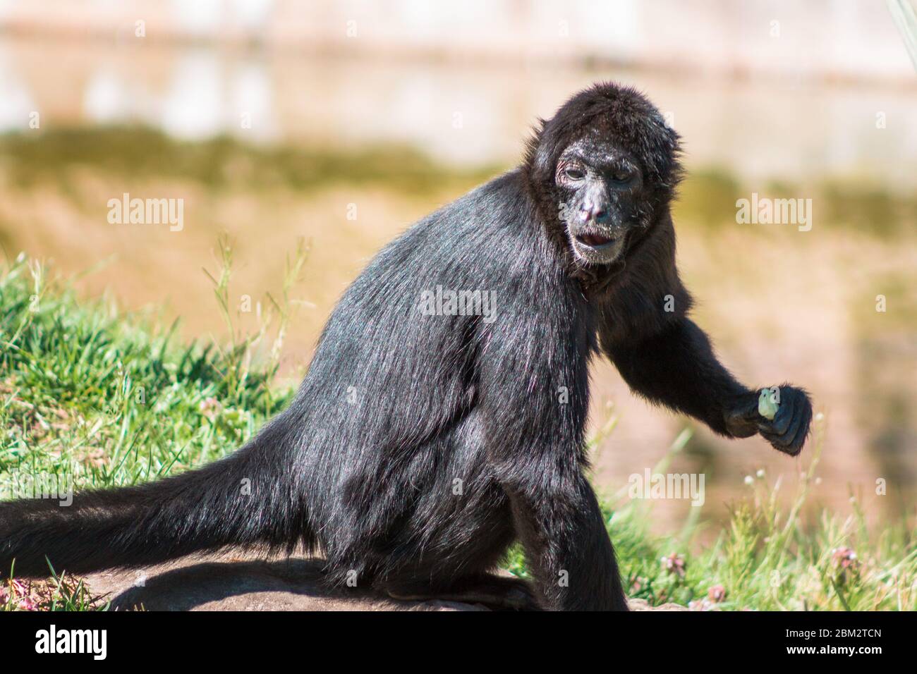 John ball zoo hi-res stock photography and images - Alamy