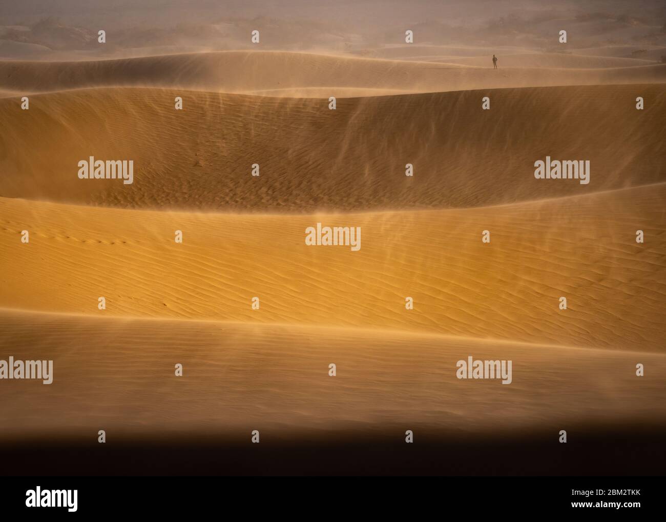 Rolling sand dunes Stock Photo - Alamy