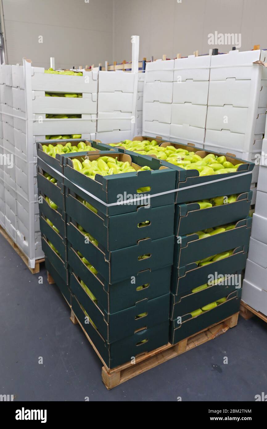 Green Peppers in Boxes at Pallets Storage Warehouse Stock Photo - Alamy