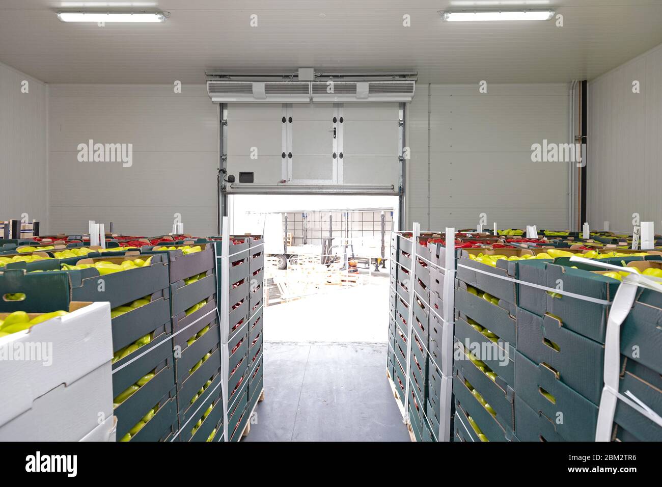 Peppers Vegetables in Boxes in Distribution Warehouse Stock Photo - Alamy