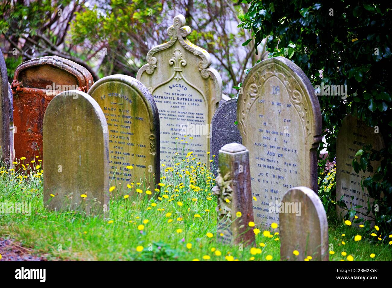 Old city cemetery in Wellington Stock Photo - Alamy