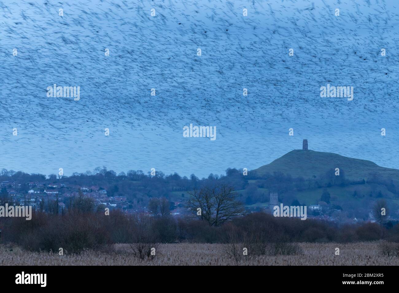 Avalon marshes glastonbury tor winter hi-res stock photography and ...