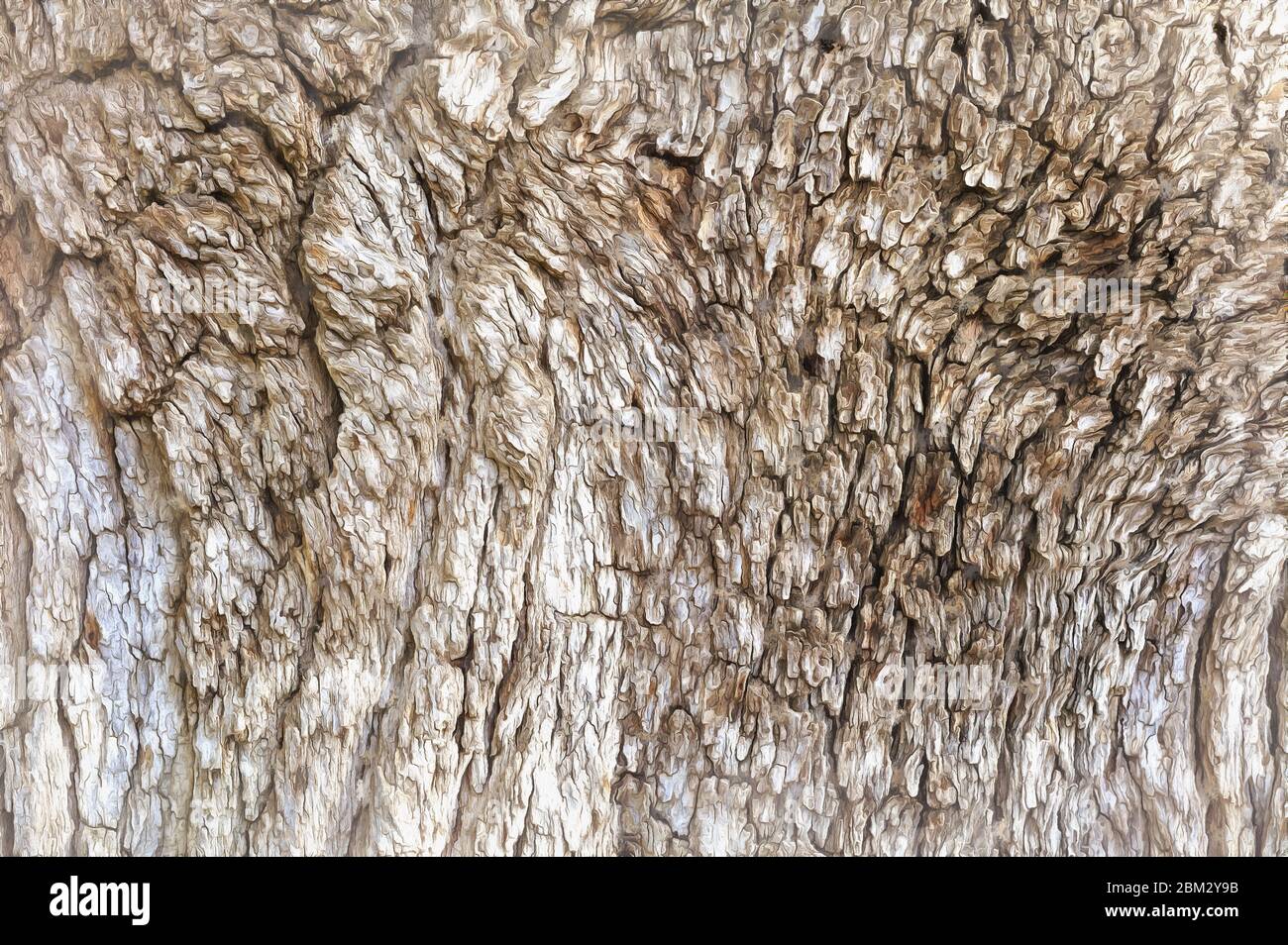 Bark painting hi-res stock photography and images - Alamy