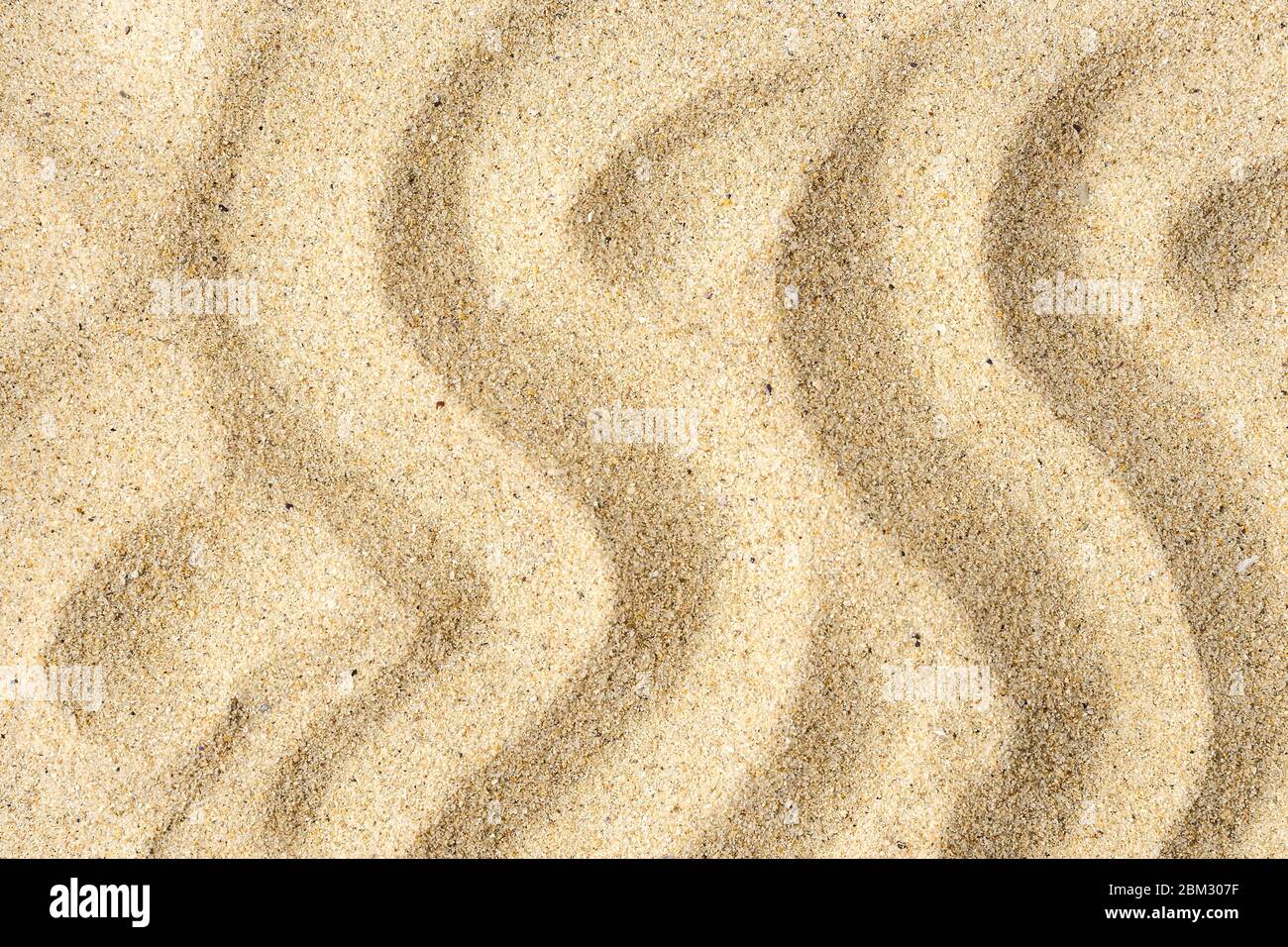 Sea Sand Texture