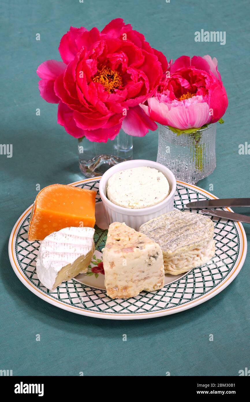 A gourmet cheese platter with ripened goat cheese, camembert and aged ...