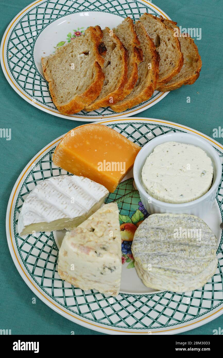 A gourmet cheese platter with ripened goat cheese, camembert and aged ...