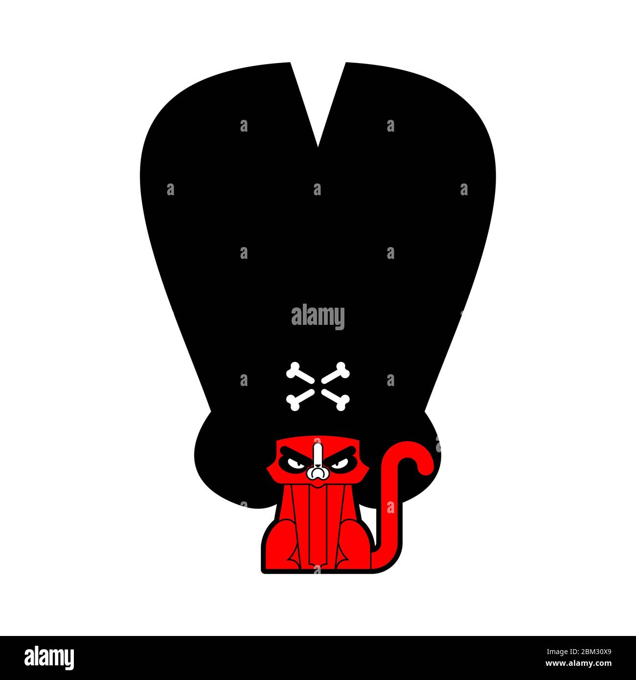 Cat pirate in hat isolated. Pet buccaneer. Grumpy Cat filibuster ...