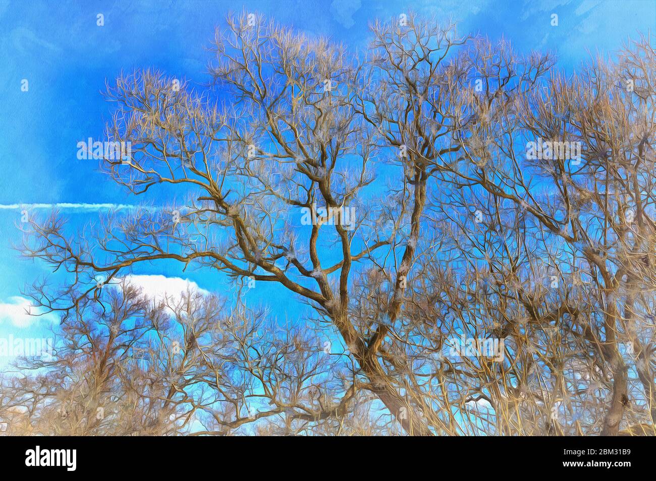 Spring landscape colorful painting looks like picture Stock Photo - Alamy