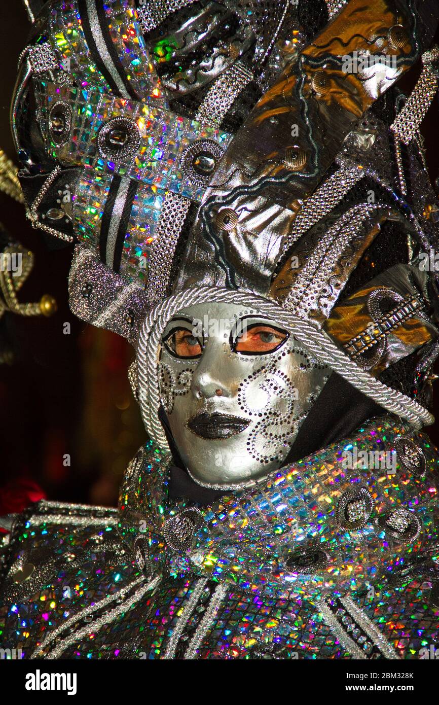 Costumed Reveler of the Carnival of Venice Stock Photo - Alamy