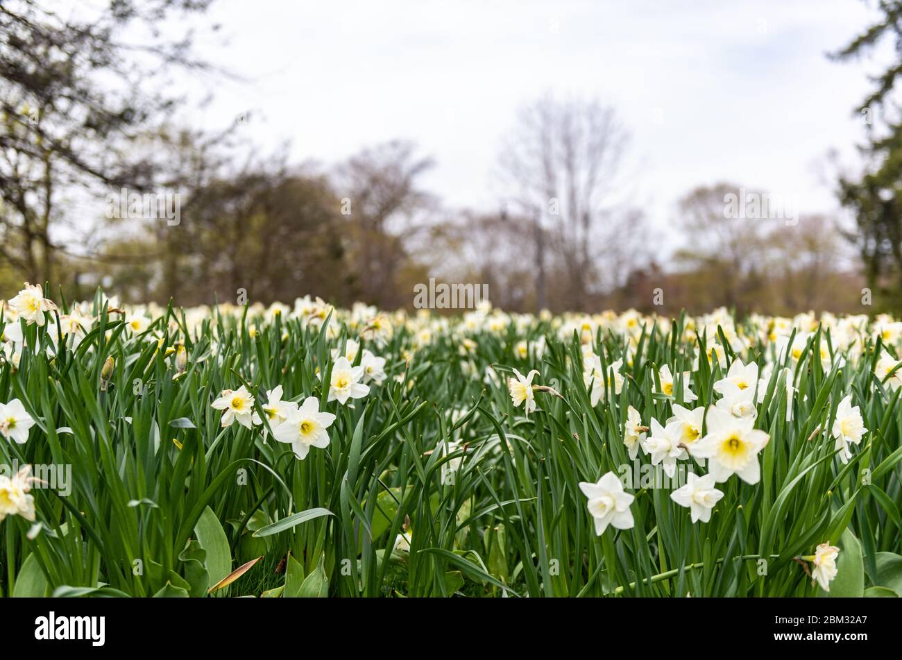 Springbank park london ontario canada hi-res stock photography and ...