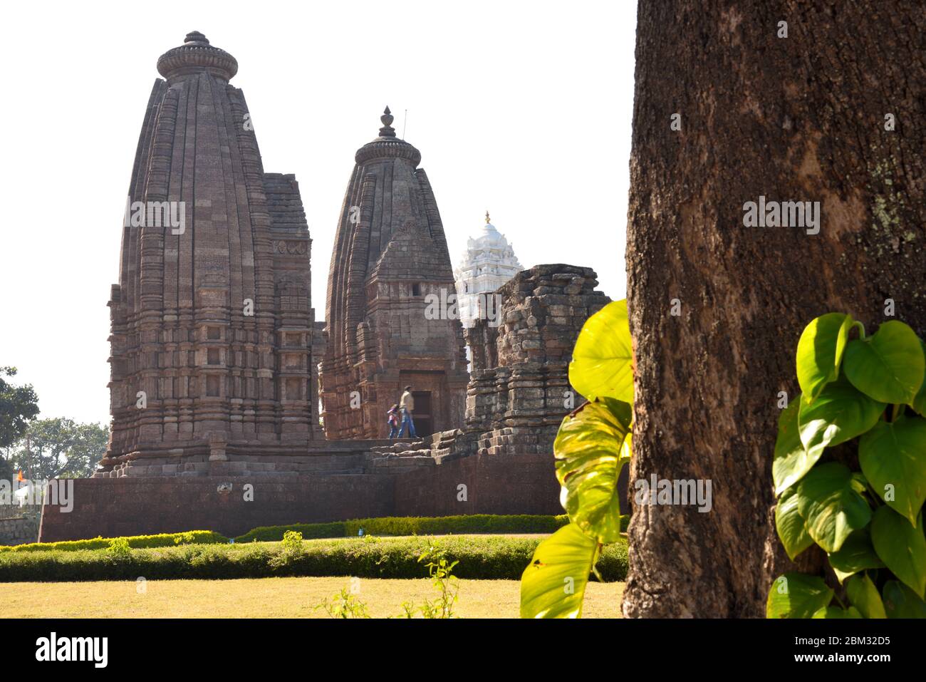 Ancient Temples of Kalachuri Period Amarkantak, Madhya Pradesh (MP ...
