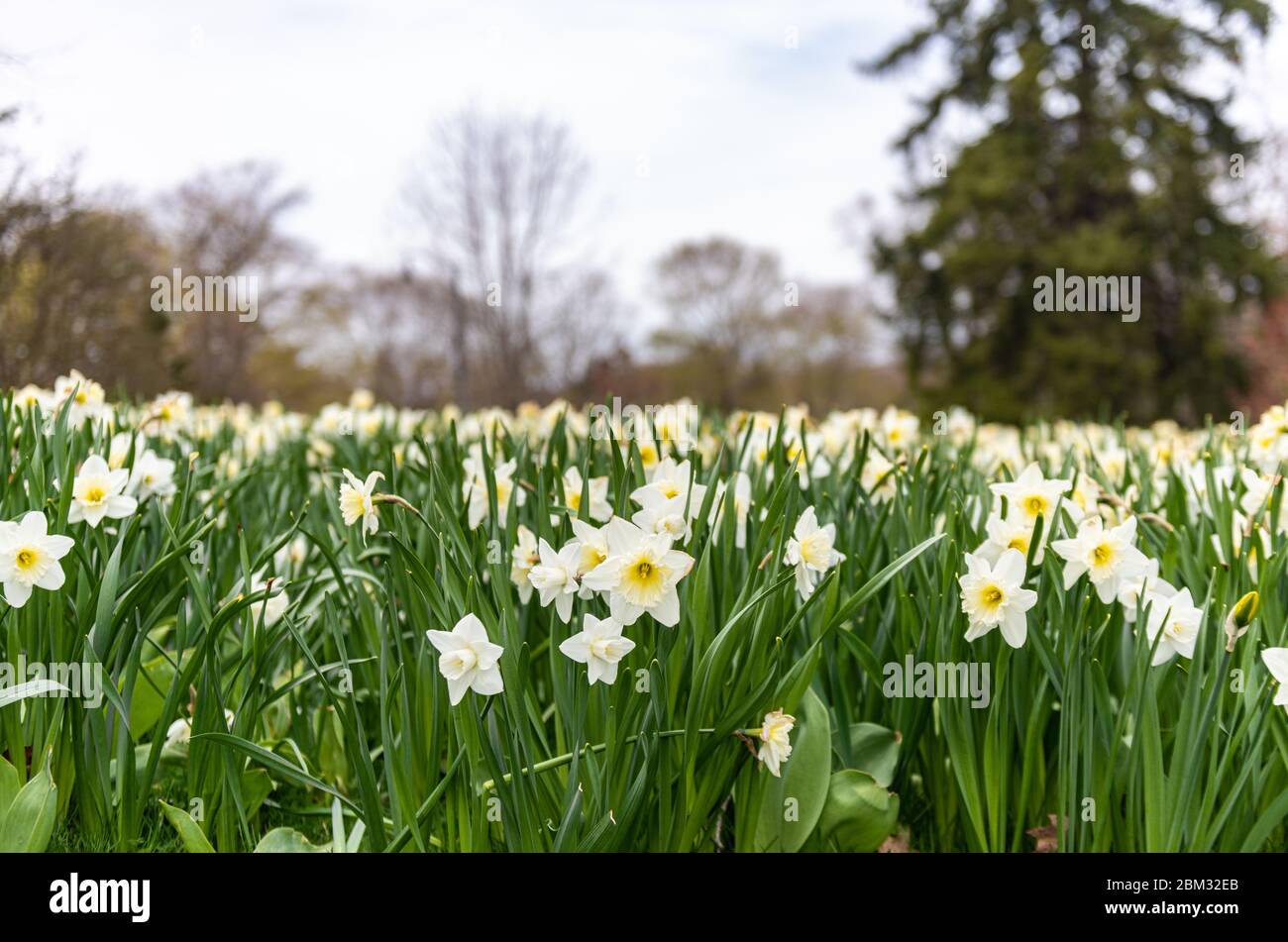 Springbank park london ontario canada hi-res stock photography and ...