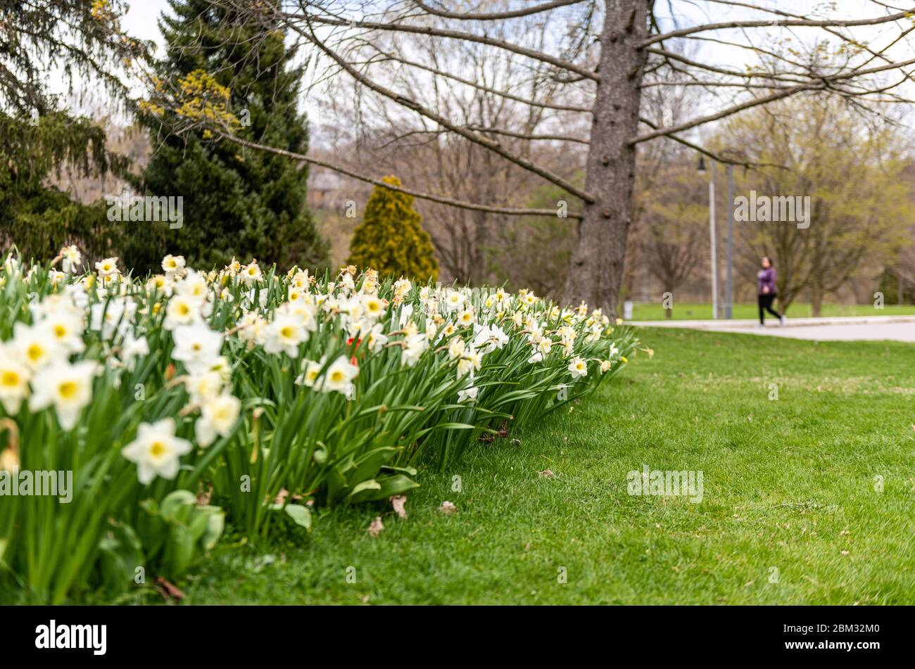 Springbank park london ontario hi-res stock photography and images - Alamy