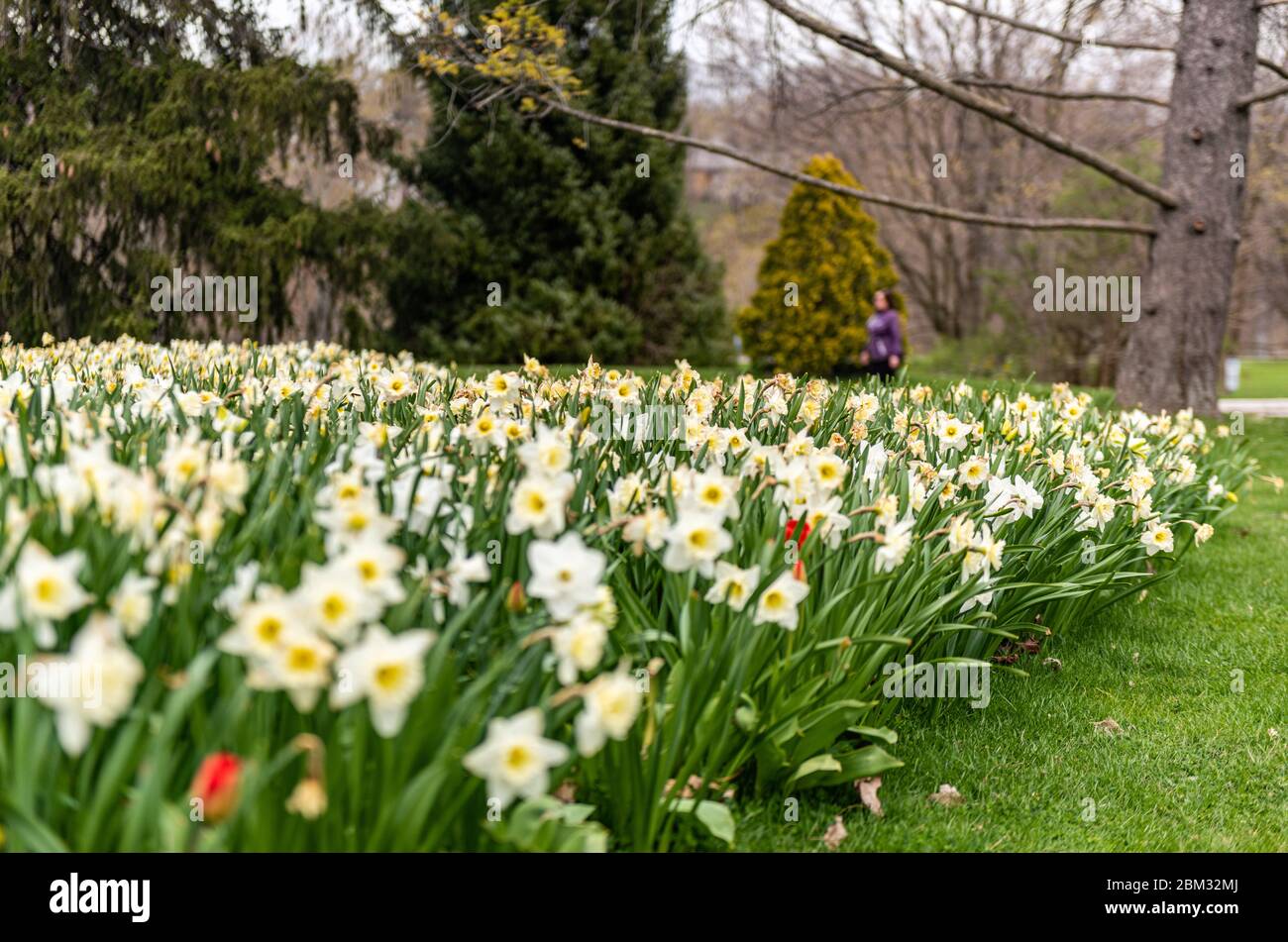 Springbank park london ontario hi-res stock photography and images - Alamy