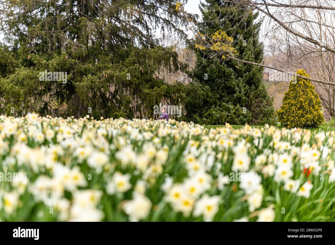 Springbank park london ontario hi-res stock photography and images - Alamy