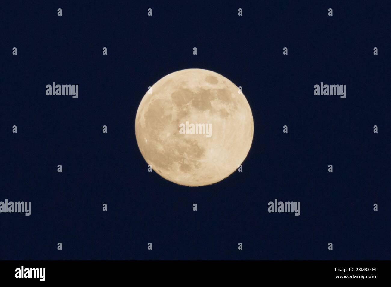 Supermoon of flowers hi-res stock photography and images - Alamy