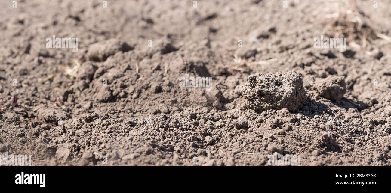 Dry land of agricultural field. Theme of land market. Wide angle ...