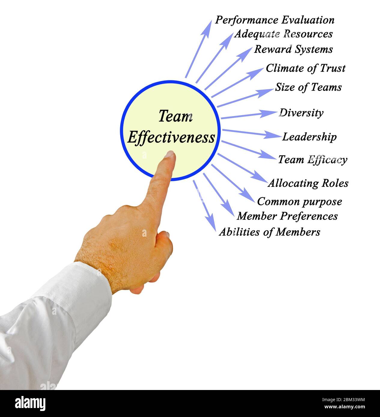 Twelve Drivers of Team Effectiveness Stock Photo - Alamy