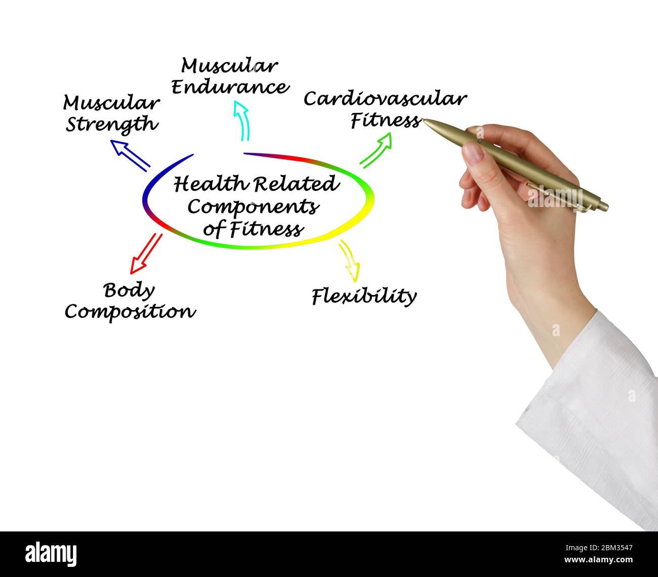 Health Related Components of Fitness Stock Photo - Alamy