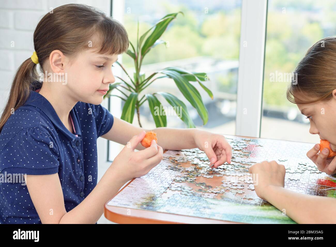 Collect puzzles hi-res stock photography and images - Alamy