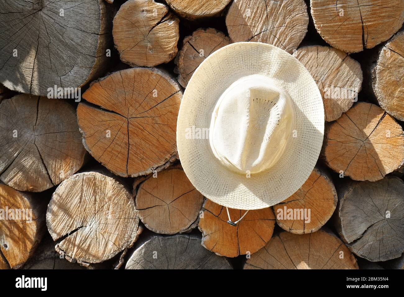 Thorp Wood High Resolution Stock Photography and Images - Alamy