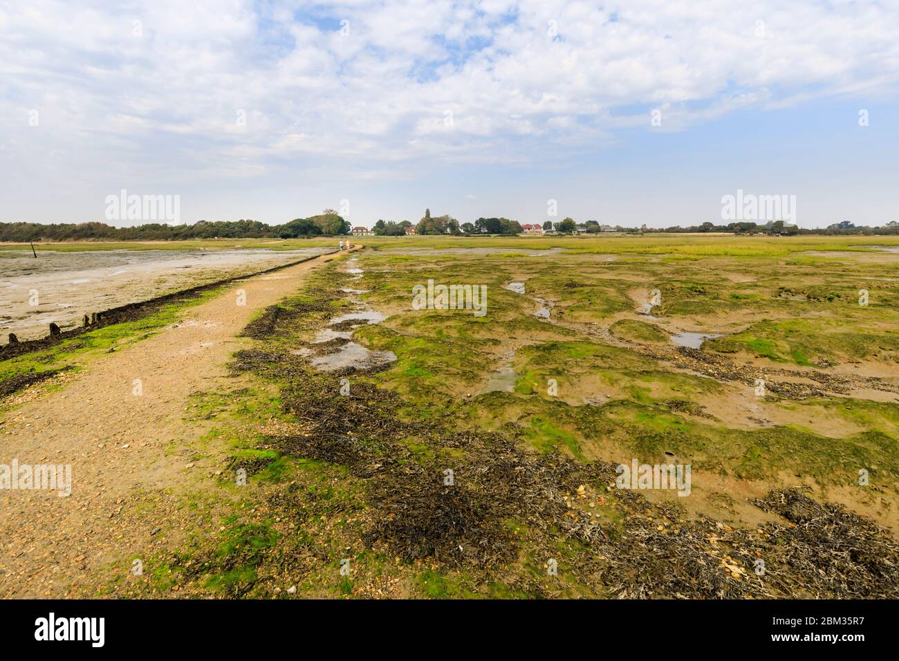 Intertidal areas hi-res stock photography and images - Alamy