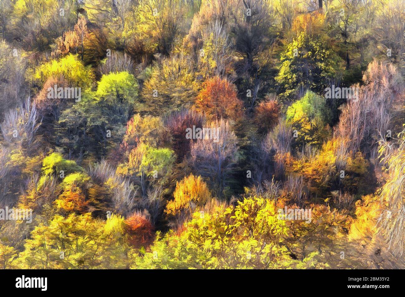 Colorful painting of autumn trees mountain landscape Stock Photo - Alamy