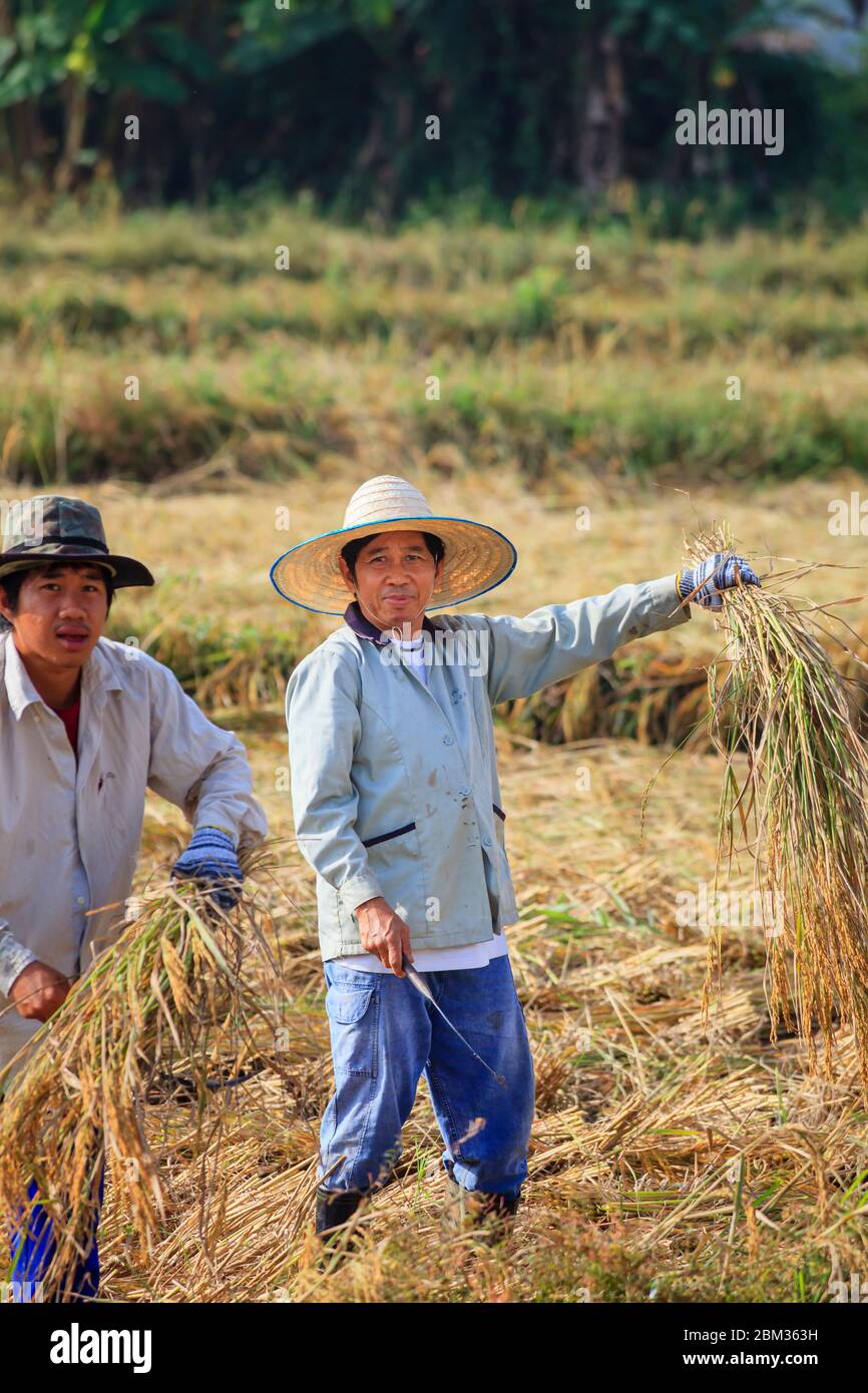 Traditional farming methods hi-res stock photography and images - Alamy