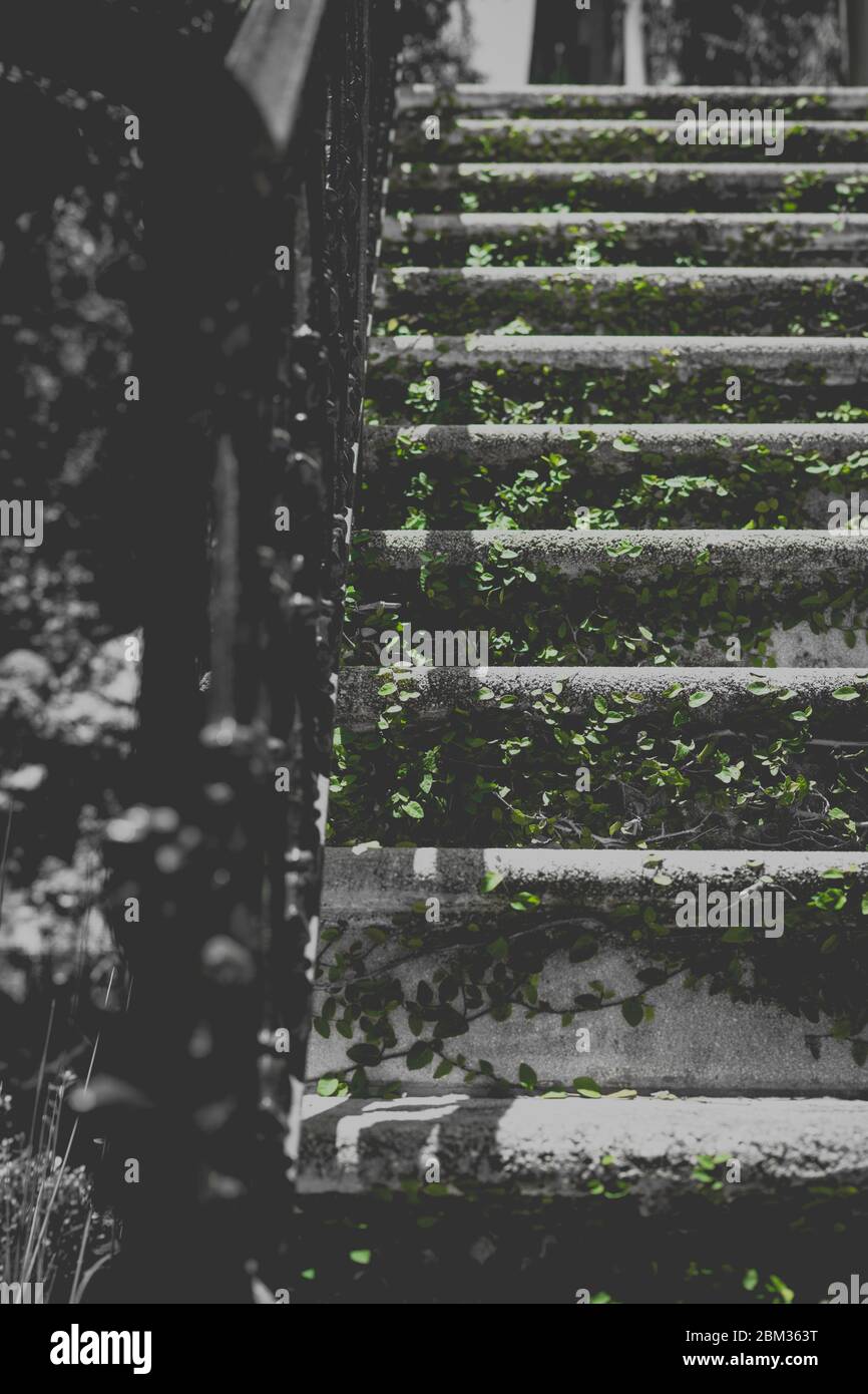 Greenery staircase hi-res stock photography and images - Alamy