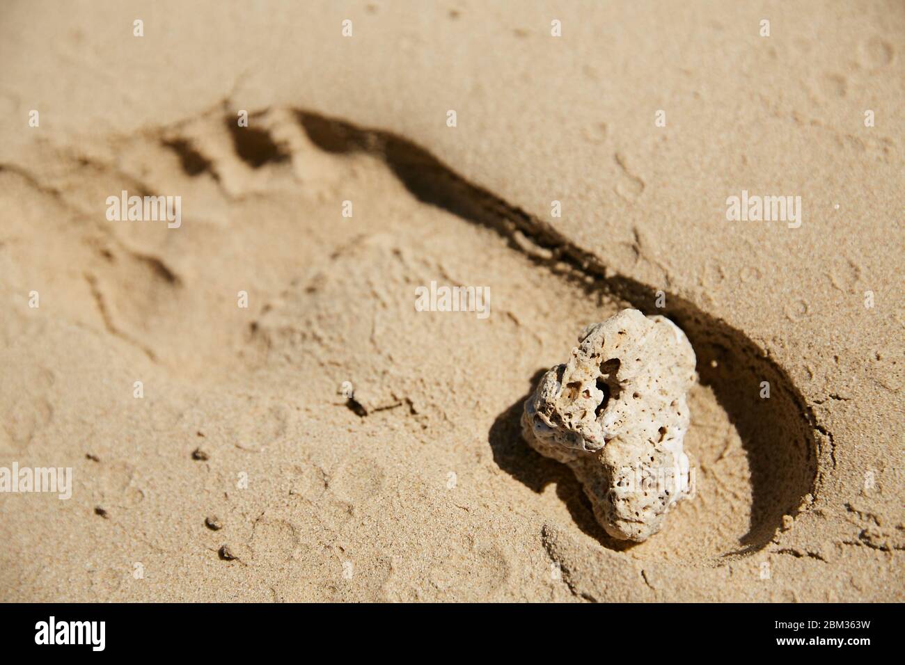 Footprints In The Sand Wallpaper God