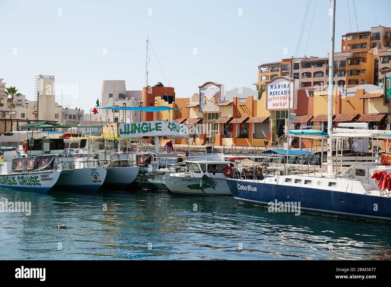 A colorful harbor with boats docked in Cabo San Lucas, Mexico Stock ...