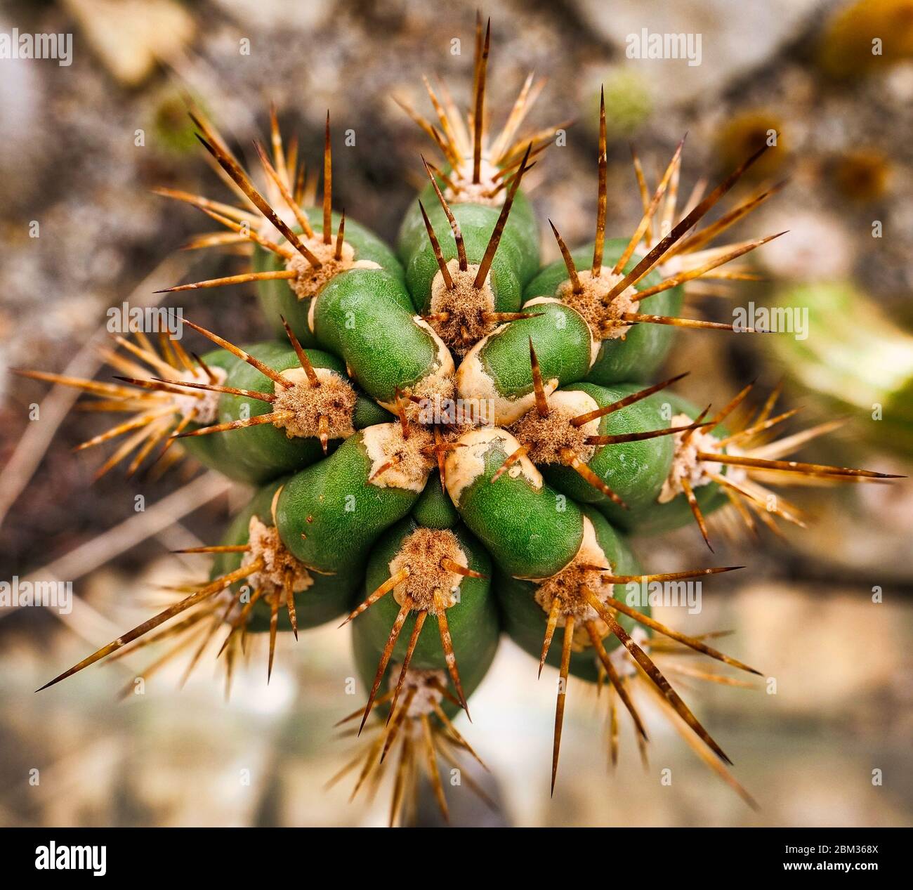 Top from above hi-res stock photography and images - Alamy