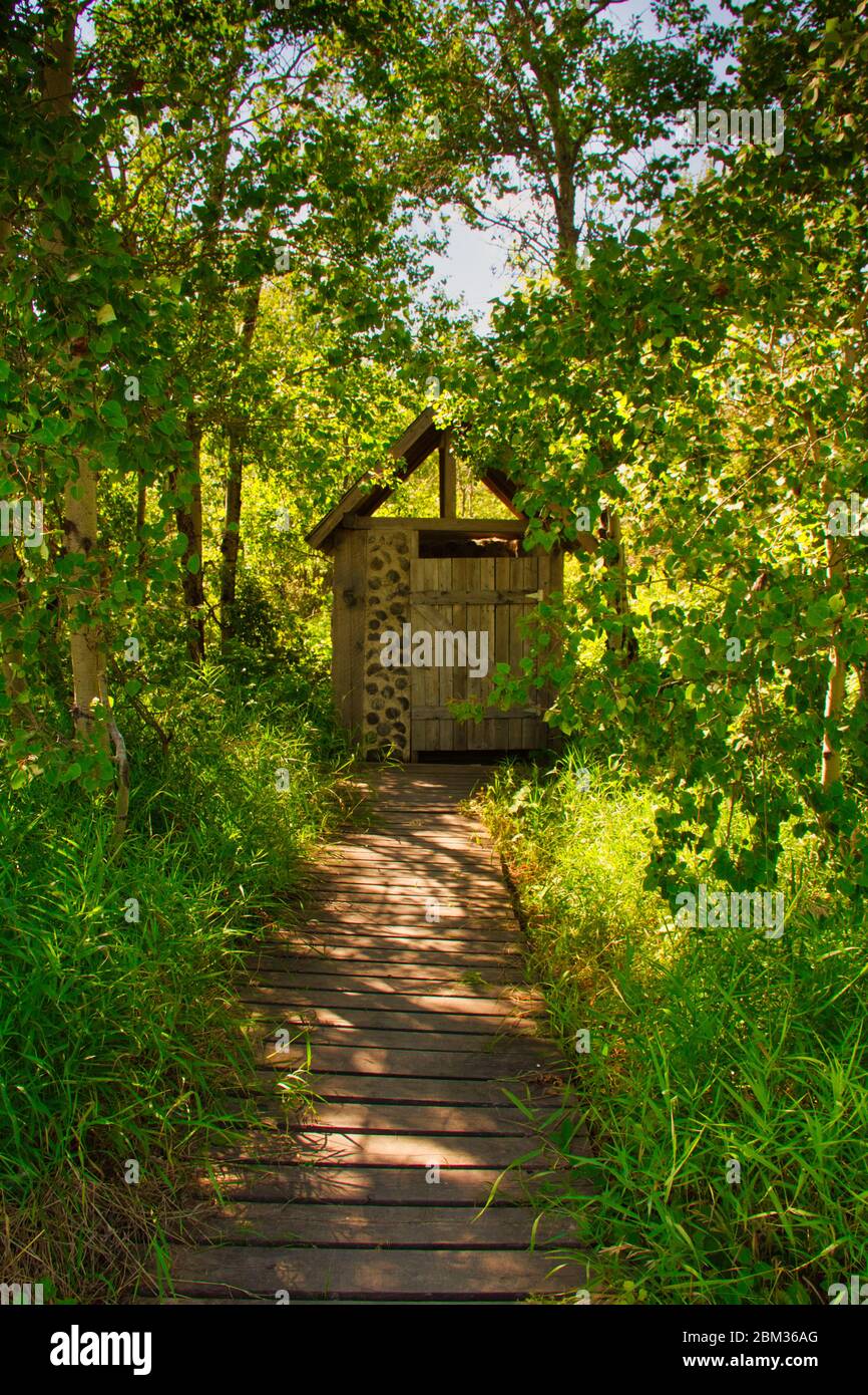 An Outhouse in a Forest Stock Photo - Alamy