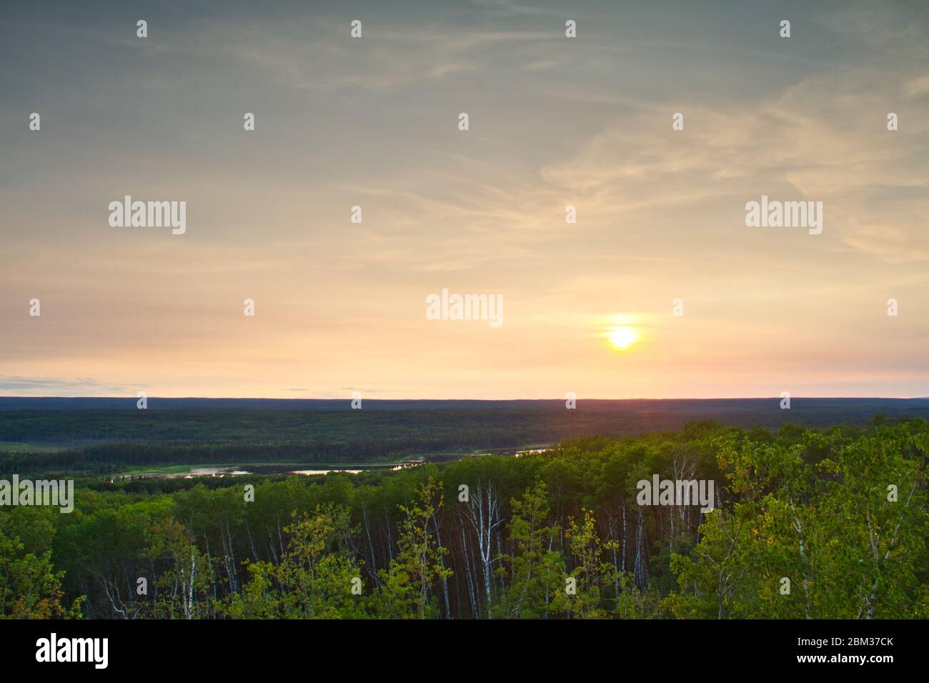 Canada saskatchewan aspen forest hi-res stock photography and images ...