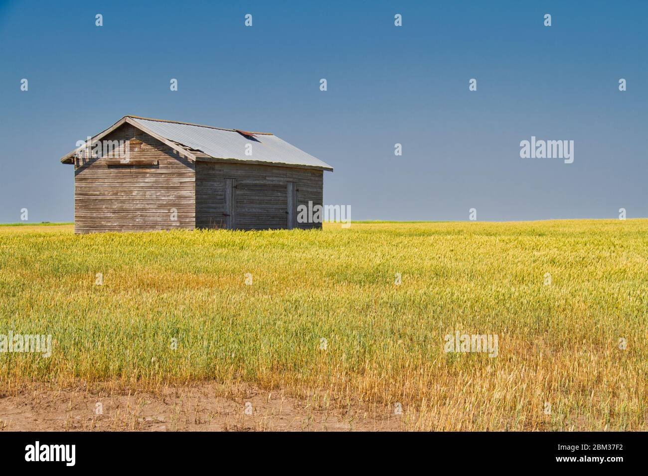 A Barn on the Prairie Stock Photo - Alamy